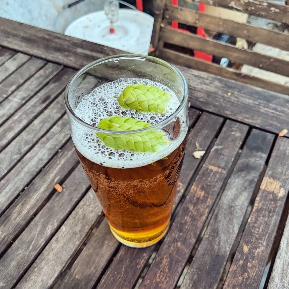 Who are Gert Lush and why are they brewing craft beer? | Gert Lush Beer